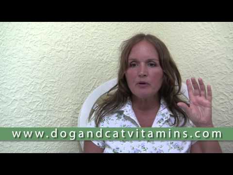 Homeopathy for Pets Made Simple - Part I