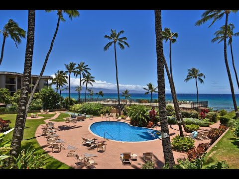 Is it tiki time yet? | Hale Ono Loa #201