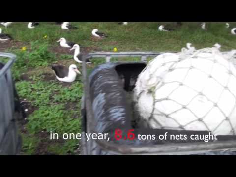 Calling ‘time’ on plastic gyres | Wibble