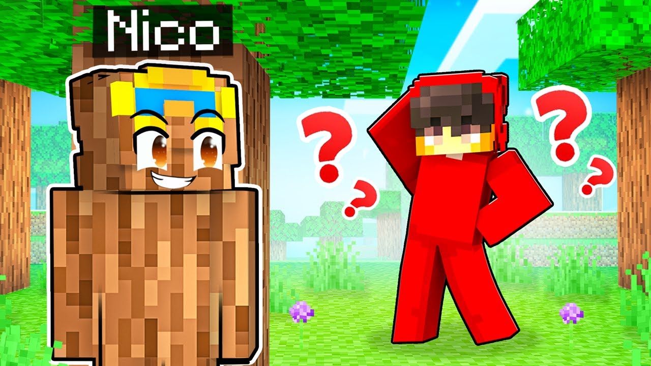 Using CAMO To Cheat In Minecraft Hide & Seek!