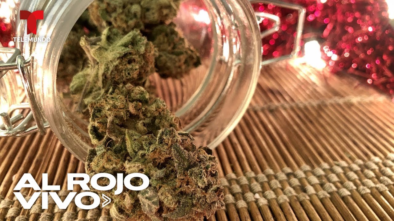 Cámara de Representantes votan a favor por la legalización de la marihuana en todo EE.UU.