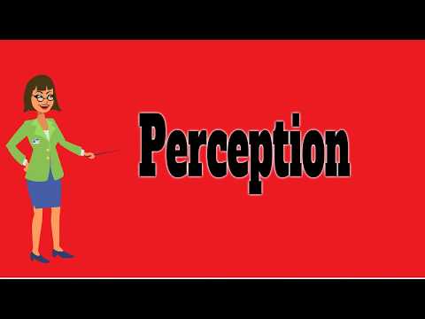 Perception | Pronunciation | Meanings | Examples | Synonyms | Definition