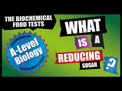 What is a reducing sugar? | A-Level Biology