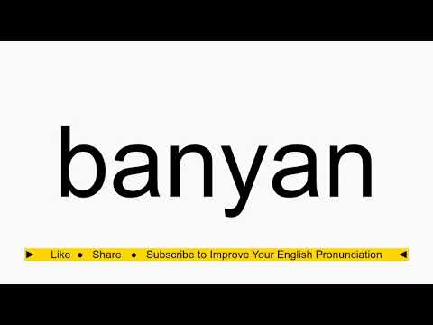 How to pronounce banyan
