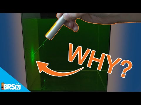 This Laser Just Told Us to Stop Painting Our Aquarium Backgrounds! Find Out Why...