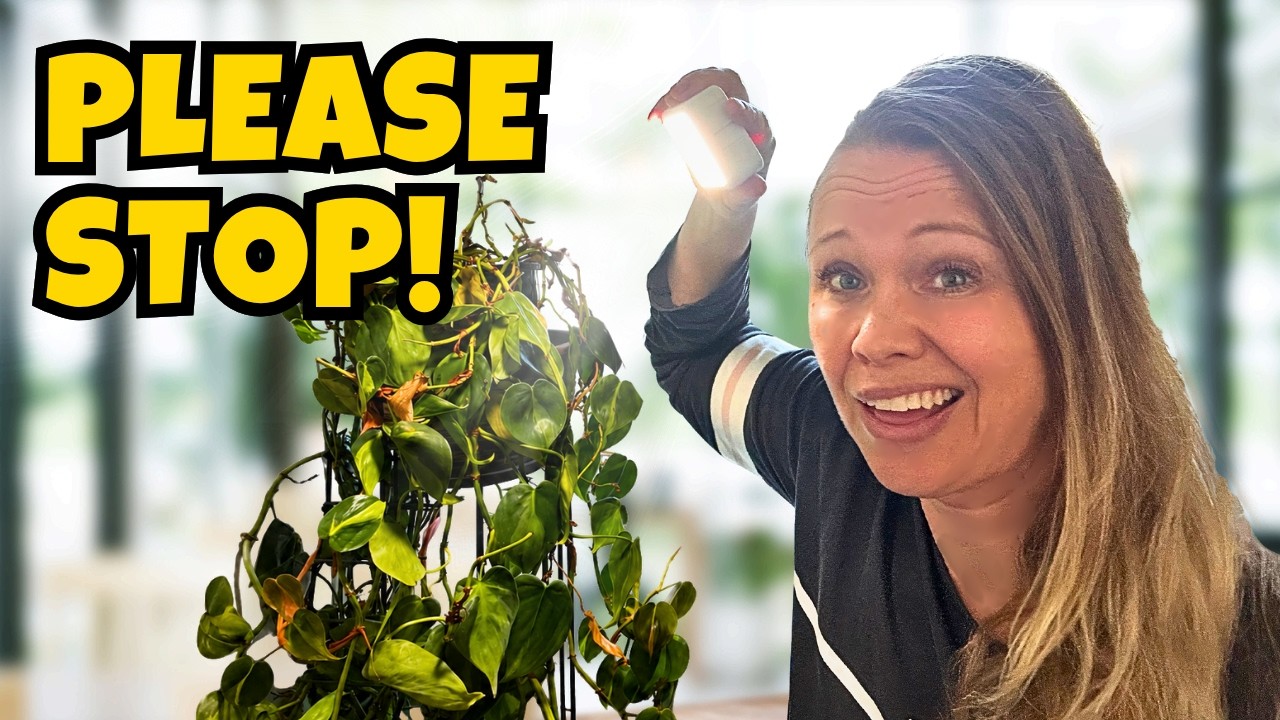 Plant Care Lies That Are Ruining Your Indoor Garden