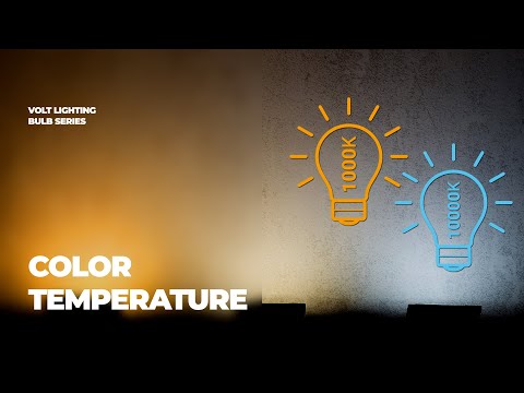 Choosing the Right Color Temperature | Bulb Series
