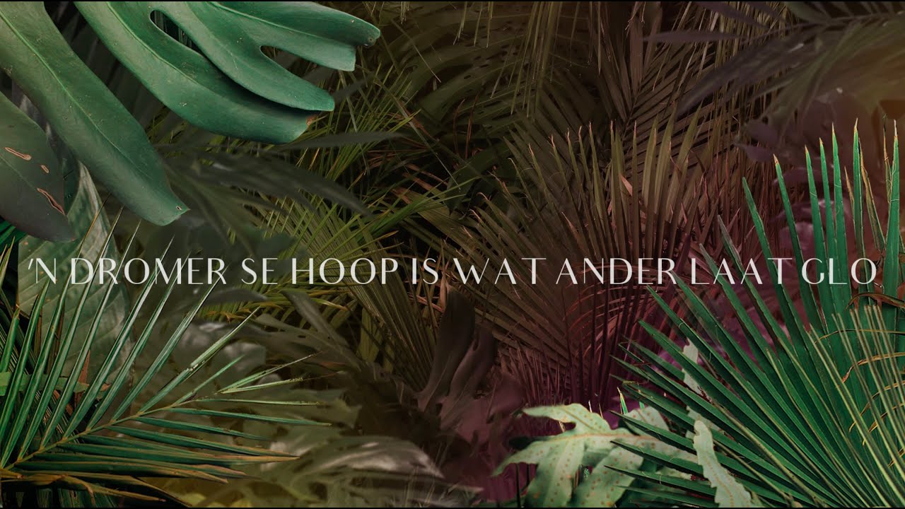 Demi Lee Moore - Dromer (Lirieke Video)