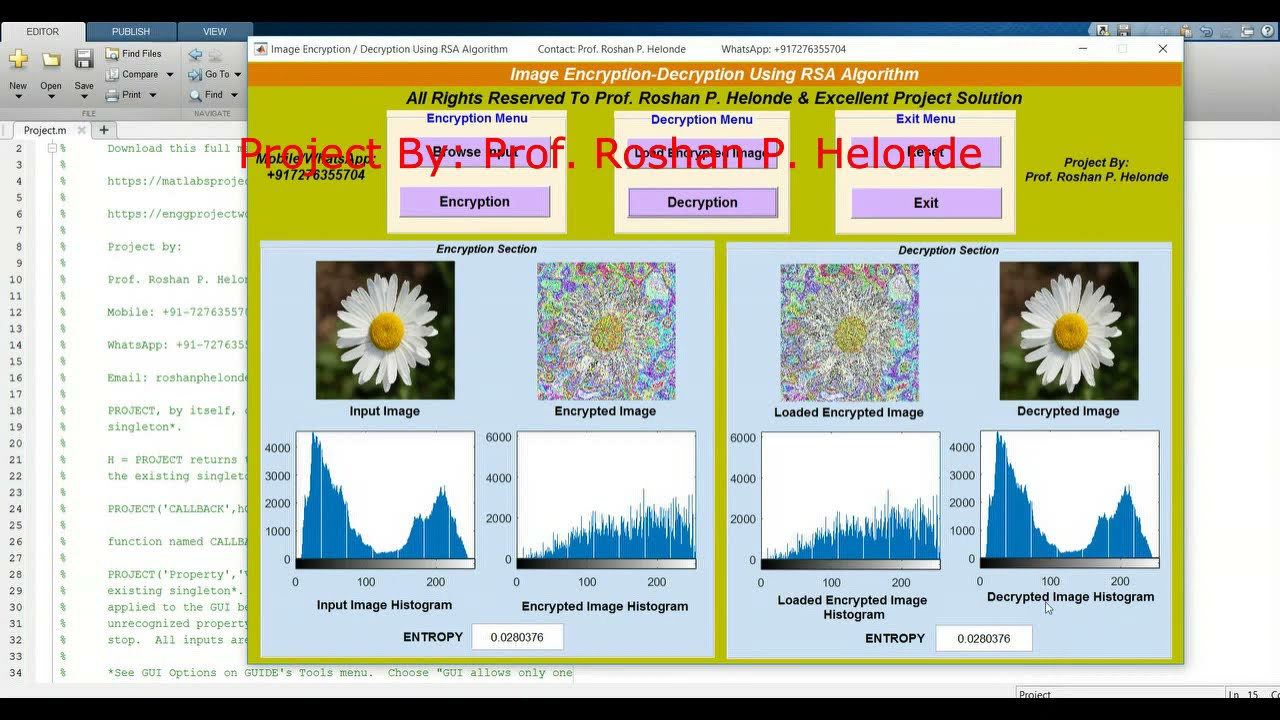 RSA Image Encryption Decryption Using Matlab Code | Matlab Project With Source Code