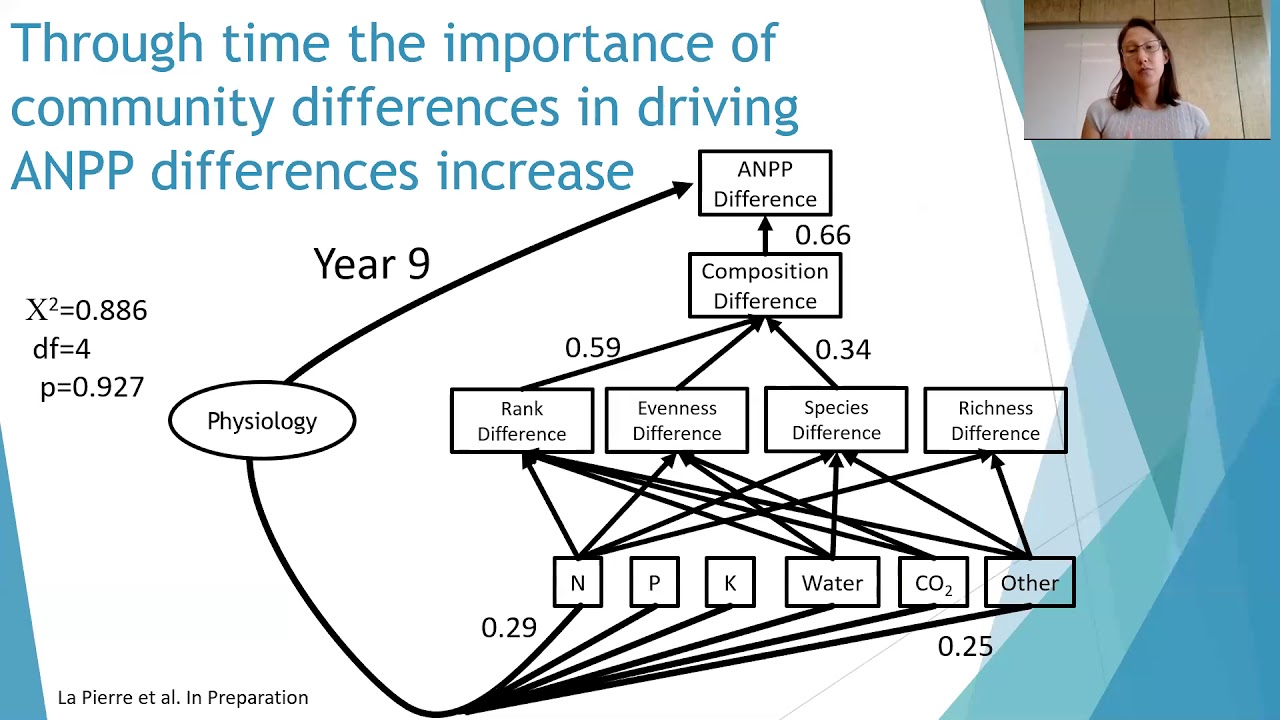 Communities to Ecosystems Synthesis Group