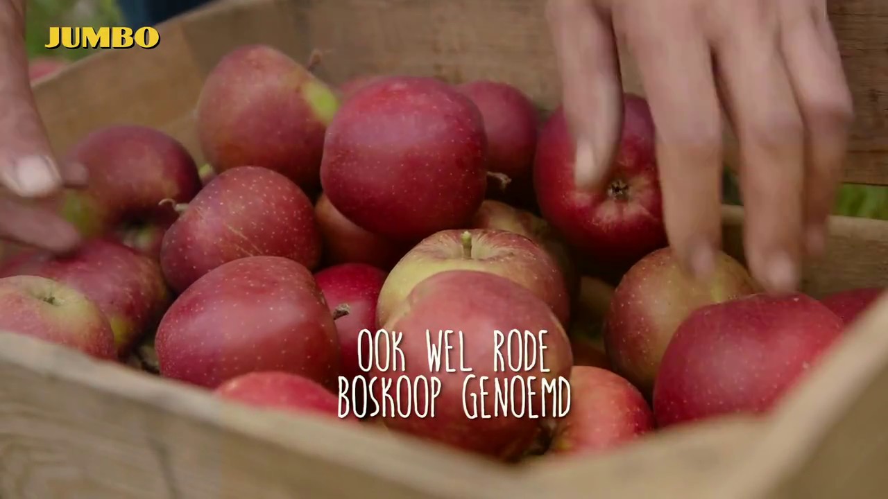Appel recepten: tips & inspiratie met appels – Jumbo | Jumbo