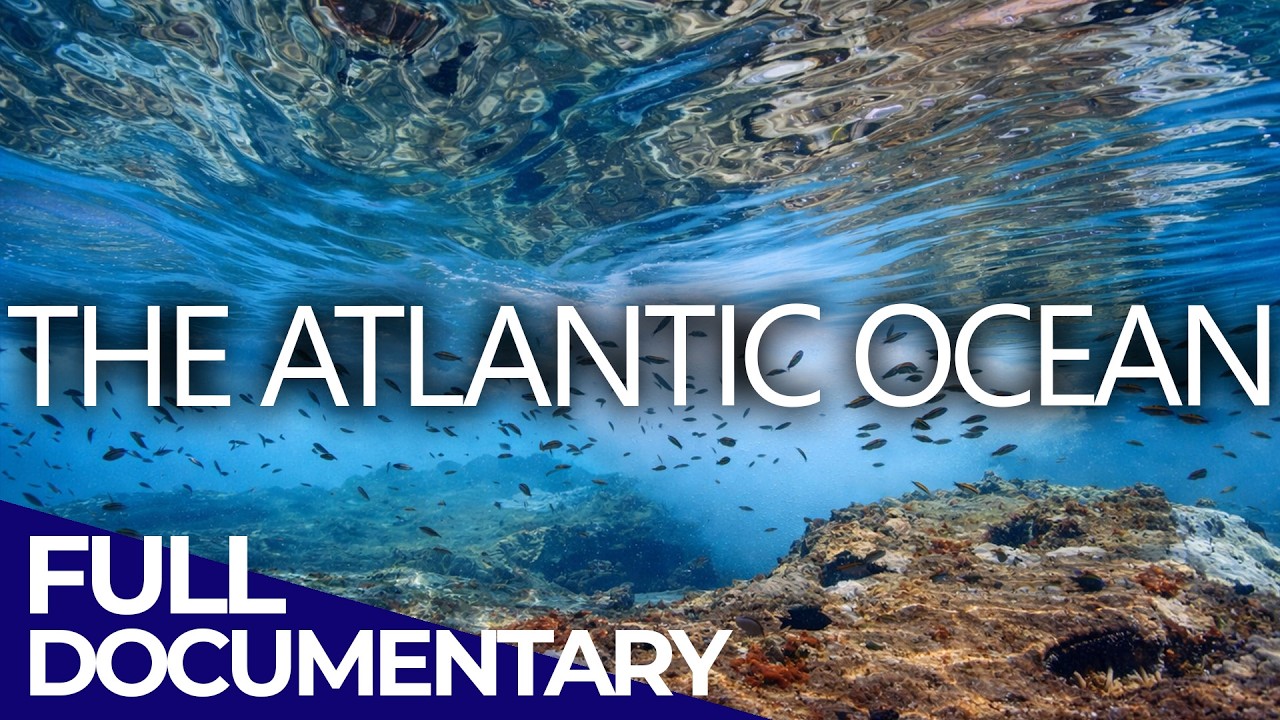Atlantic Ocean: Secrets of the Blue Wilderness | FD Ocean