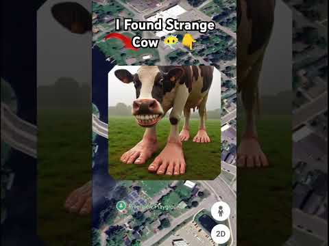 I Found Strange Cow ๐ถโ๐ซ๏ธ on google maps and google earth ๐ #shorts #r2earth2m