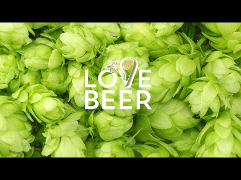 What's in a Hop? Love Beer