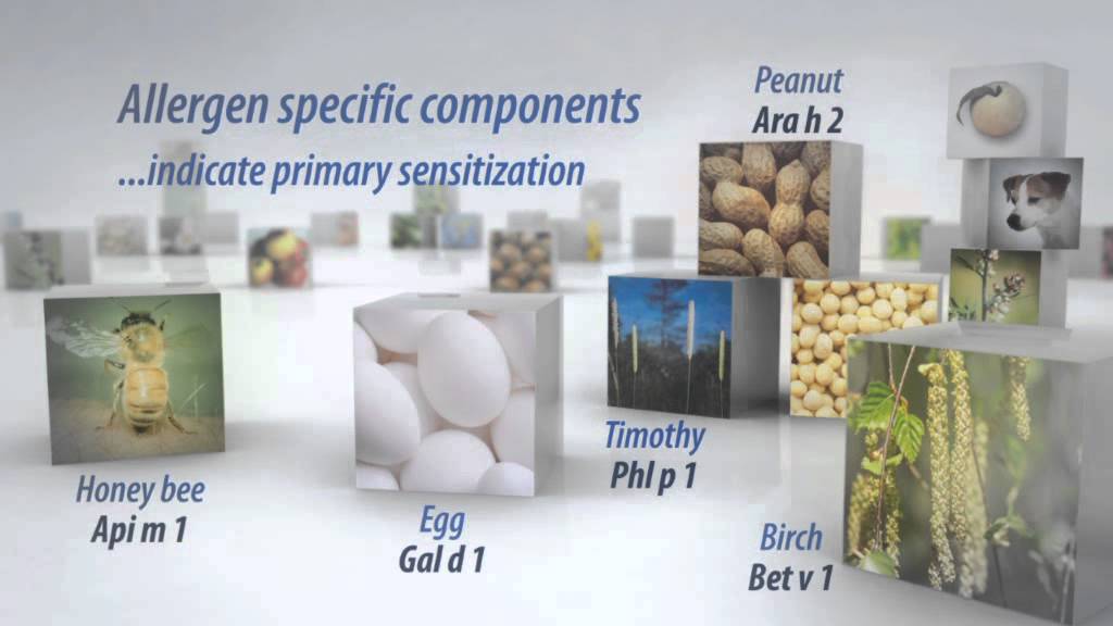Molecular Allergology Explained