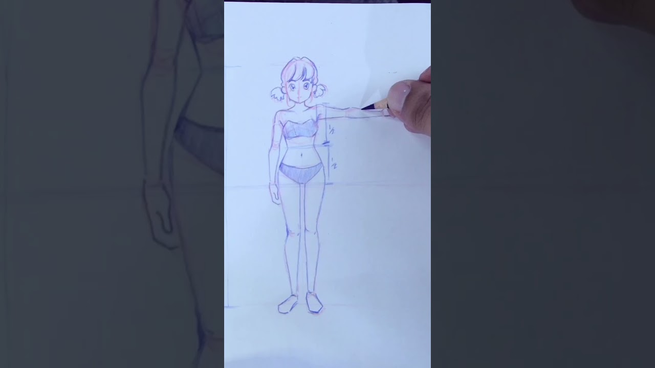Proporciones del cuerpo humano  #ilustración #animeart #tutorial