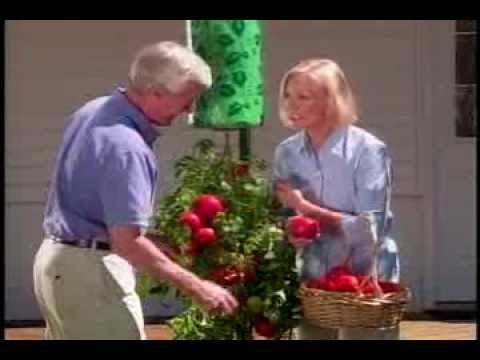 Topsy Turvy (Official Commercial)