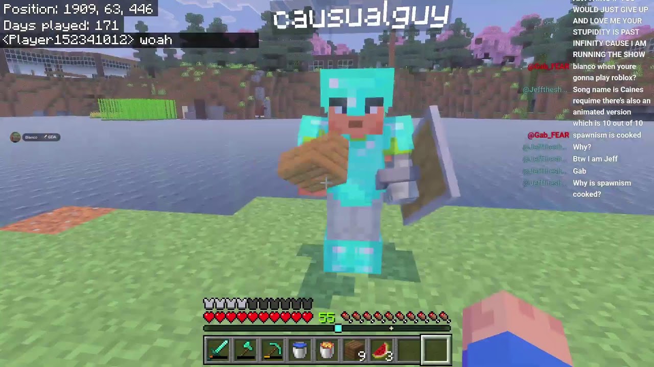 MINECRAFTING WITH VIEWERS