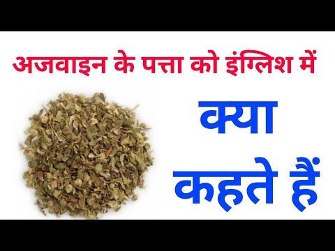 oregano meaning in hindi|Ajvayan ke patte ko english me kya kahte hain|Word meaning in hindi
