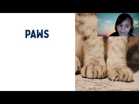 Animal Body Parts