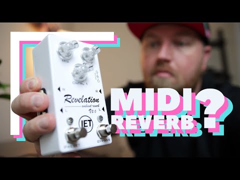Jet Pedals Revelation Midi Enabled Blackout | Reverb