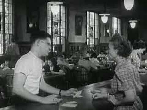 What You Think We Do | What A Real Librarian Looks Like