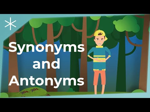 Synonyms and Antonyms