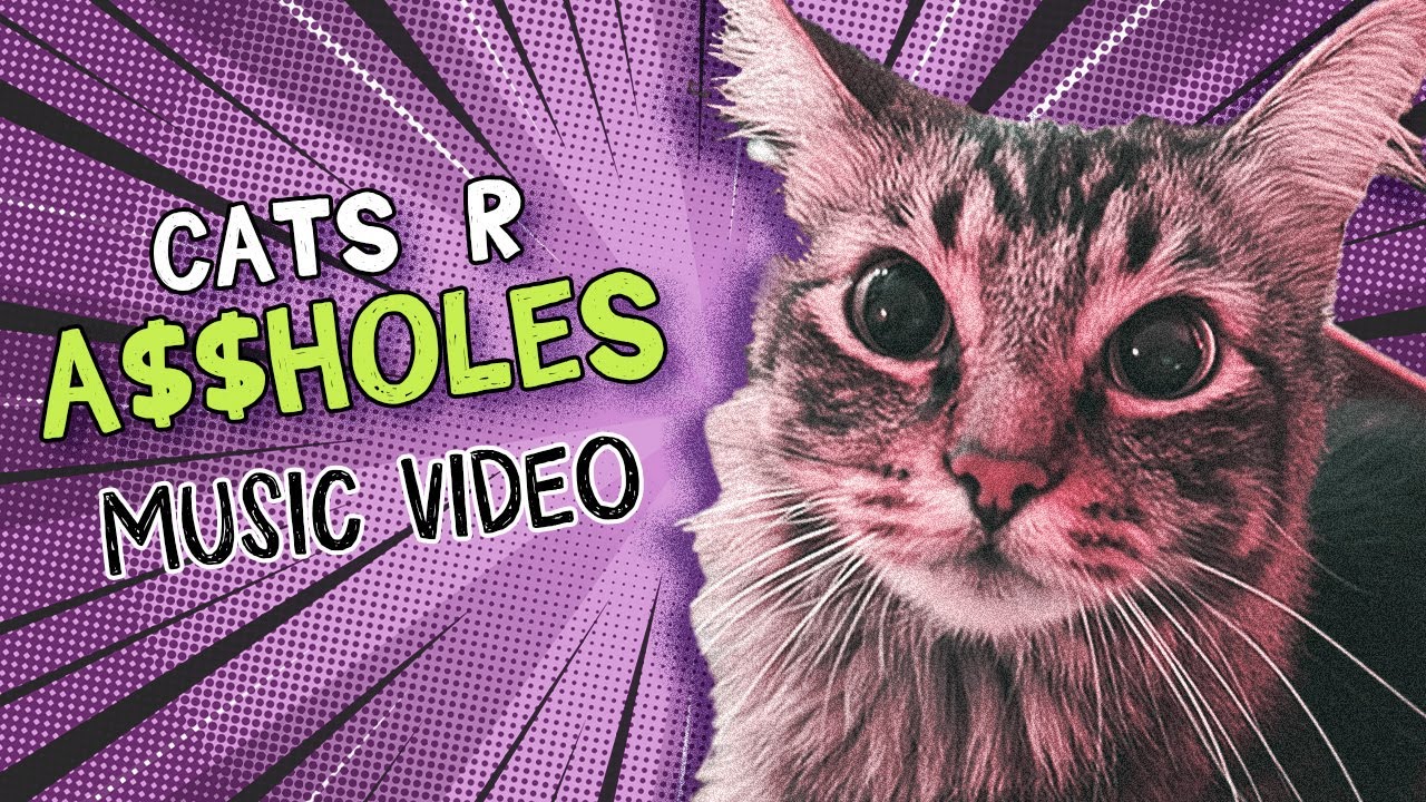 Cats R A-holes / Song for Cat Lovers