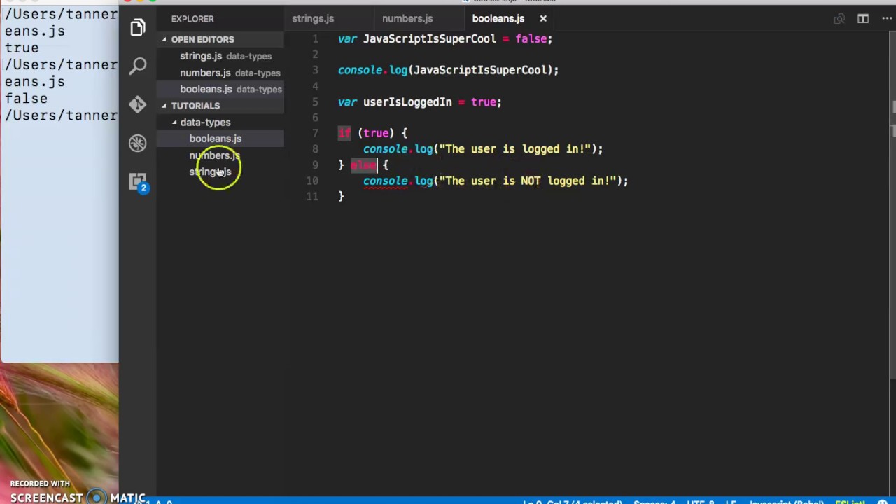 JavaScript Data Types: Booleans