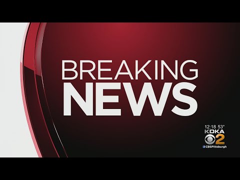Former Delta Foundation President Settles Charges Of Forgery, Impersonating Public Servant