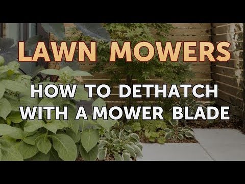 How to Dethatch With a Mower Blade