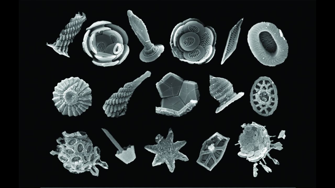 MSc Geoscience at UCL