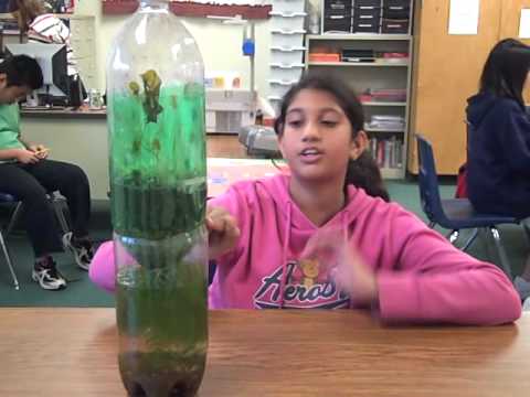 Explaining the Water Cycle in the Terraqua