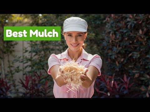 Why Shredded Paper Is A Garden Wonder
