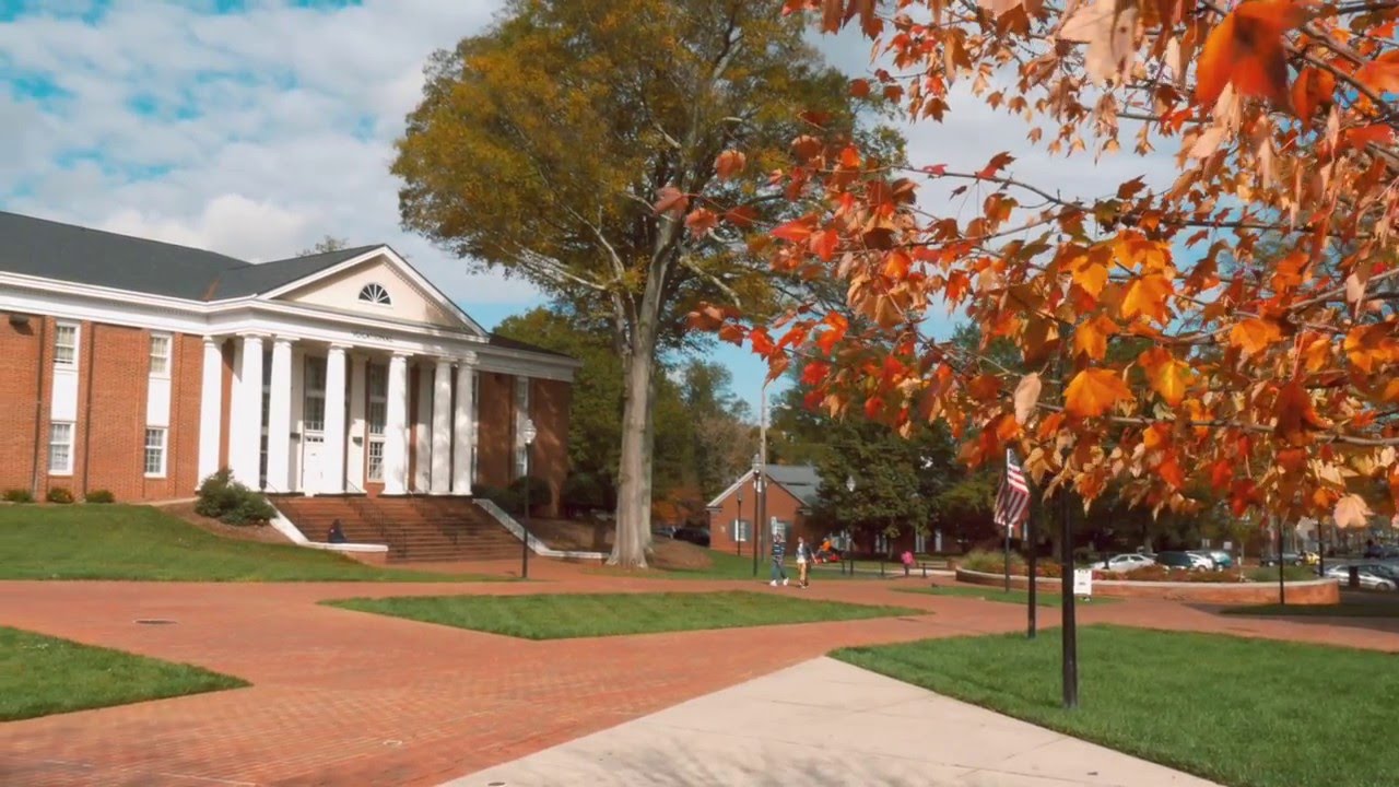 Mitchell Community College Overview