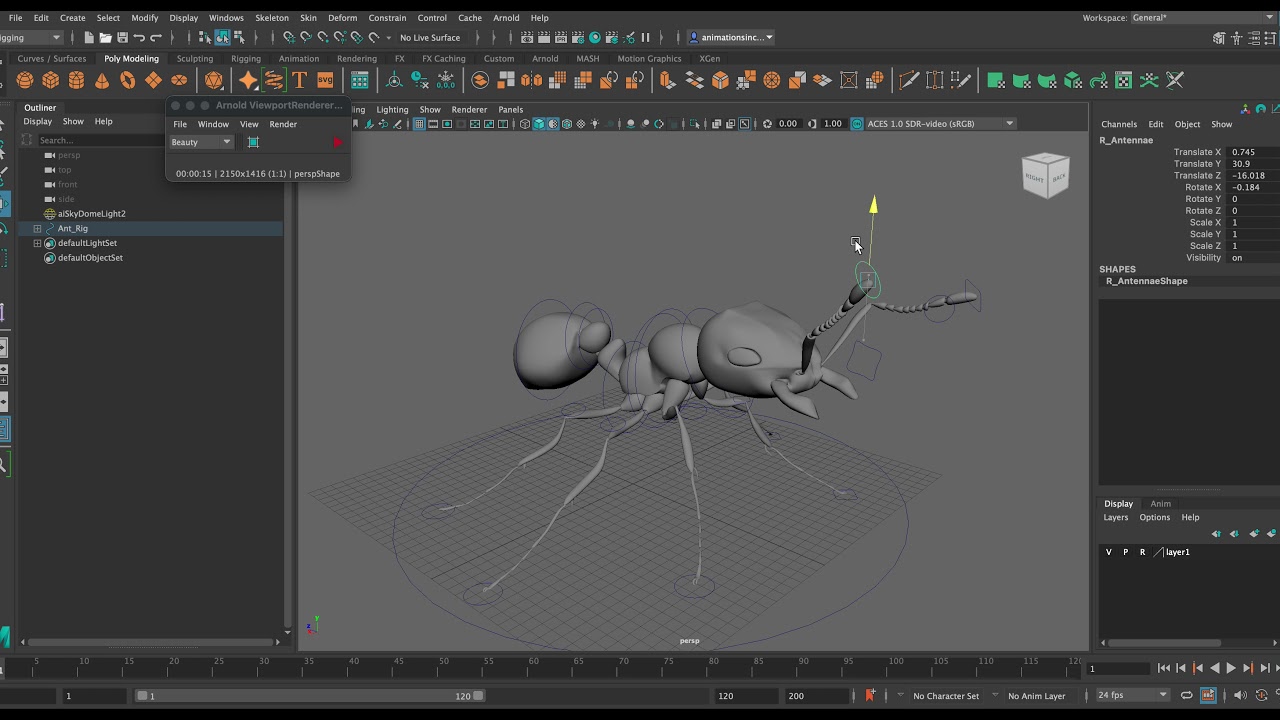 Ant Rig Movement