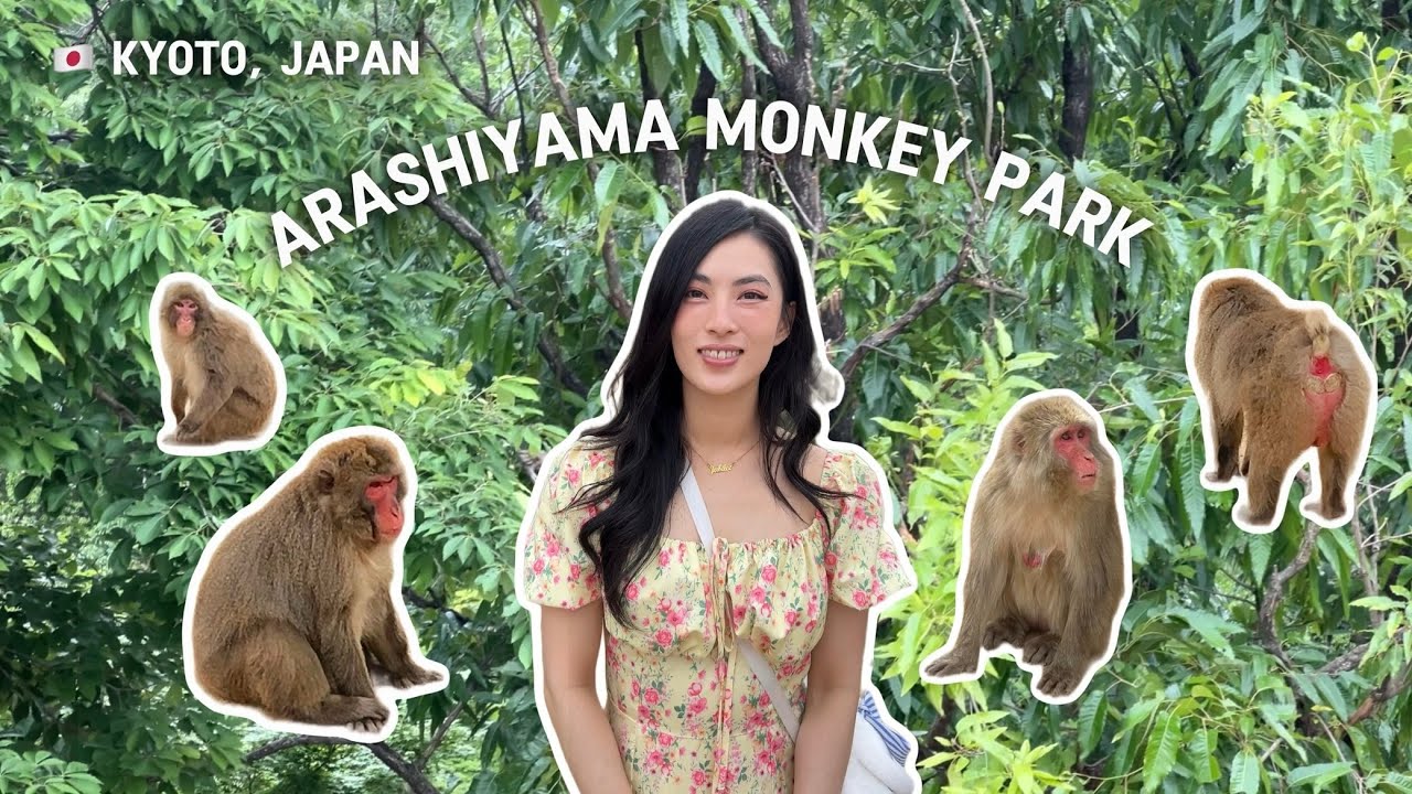 A spontaneous trip to ARASHIYAMA MONKEY PARK 🐒🎋 | Kyoto Japan Vlog