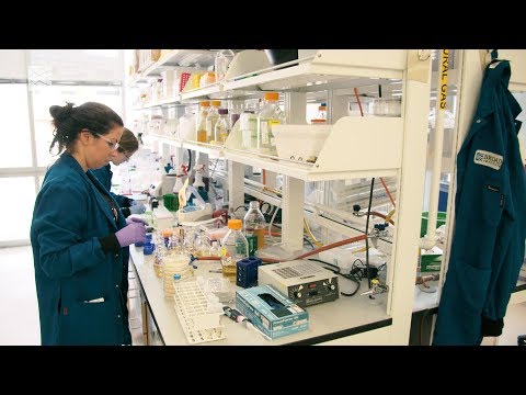 A step forward in DNA base editing – Harvard Gazette