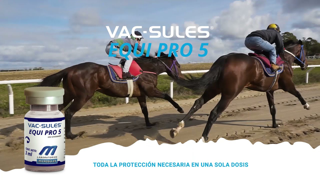Equipro - Laboratorios Microsules