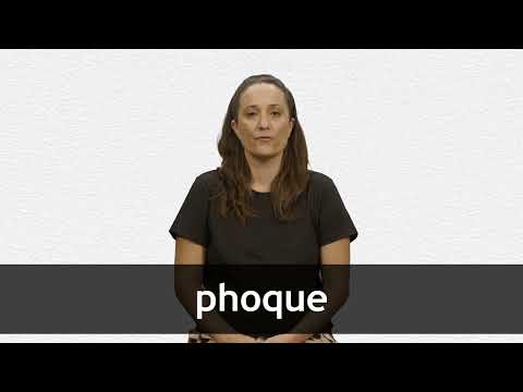 English Translation of “PHOQUE” | Collins French-English Dictionary