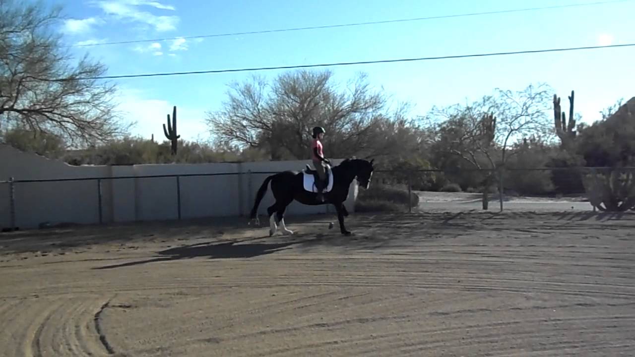SAM_0718.MP4