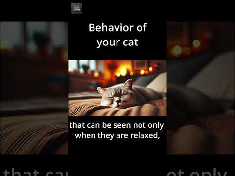 The Surprising Meaning Behind a Catβs Purr!
