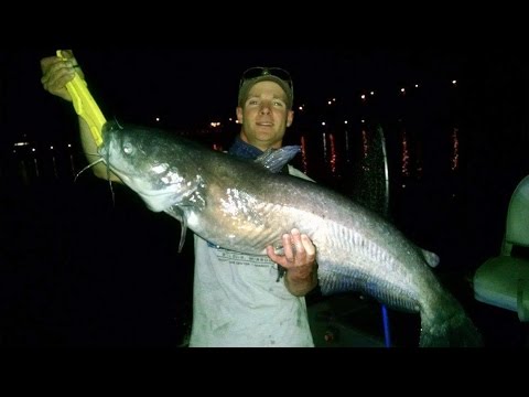 Catching Big Catfish at Night (Ft. FV-Catfish.com)