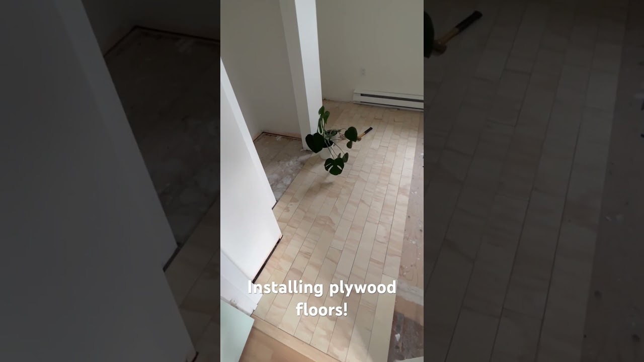 Room Renovation #8…. Installing plywood floors! #diy #houserenovation #reno #homereno #renovation