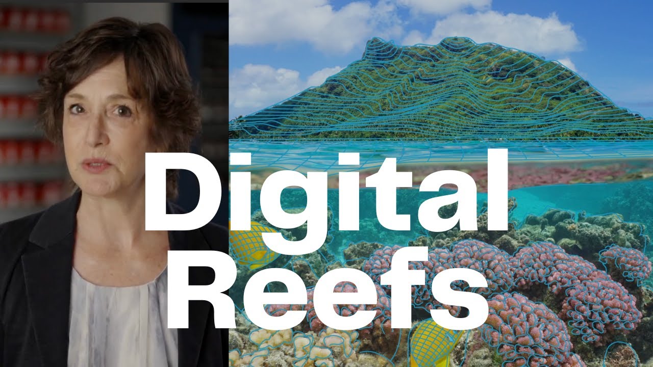 Digital Reefs Transforms Coral Reef Conservation