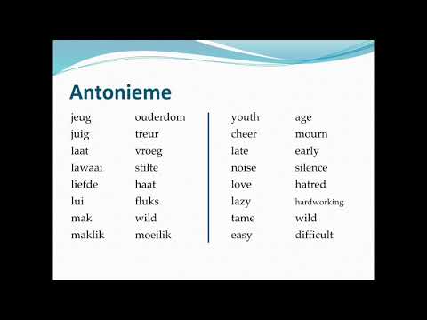 Steducentre Afrikaans L28 Antonieme