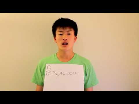 The Y.K. Dictionary - Perspicuous