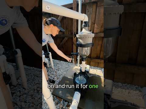 💧 How to Backwash a DE Pool Filter in 45 Seconds! #PoolCareTips