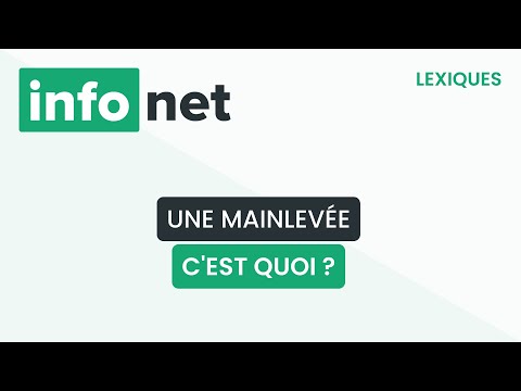 Une mainlevée, c'est quoi ? (définition, aide, lexique, tuto, explication)