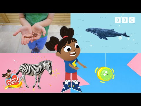 Can you say words beginning with W - Z? | Yakka Dee!